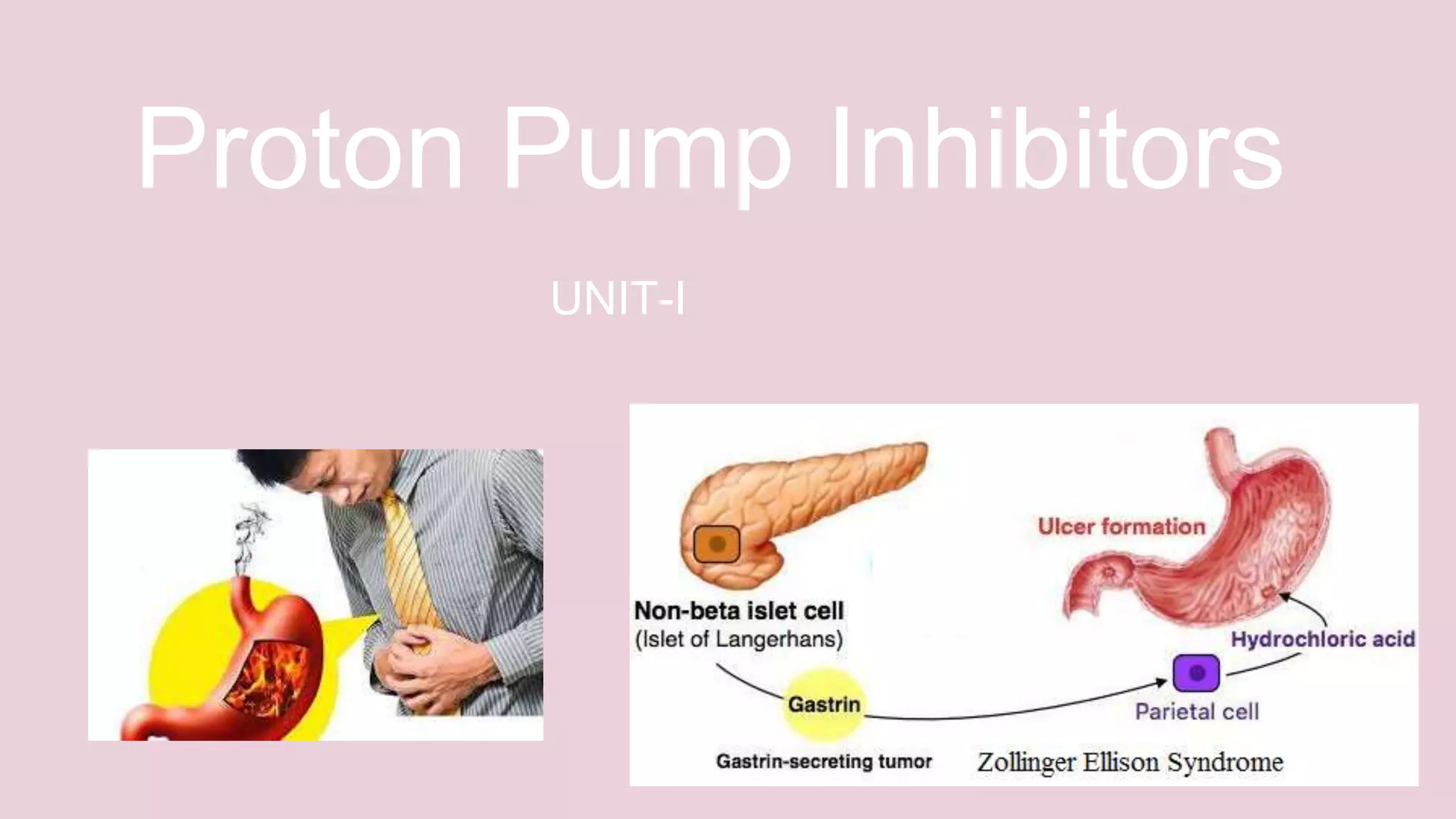 Proton pump inhibitors | PPTX | Digestive Disorders | Diseases and ...