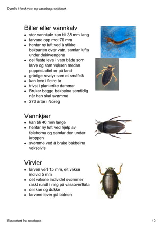 Dyreliv i ferskvatn og vassdrag | PDF