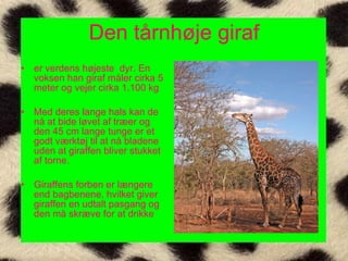 Dyr I Afrika | PPT