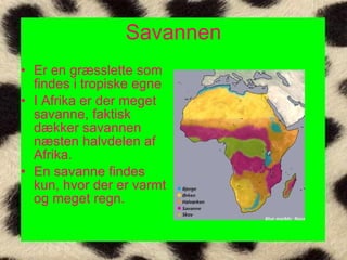 Dyr I Afrika | PPT