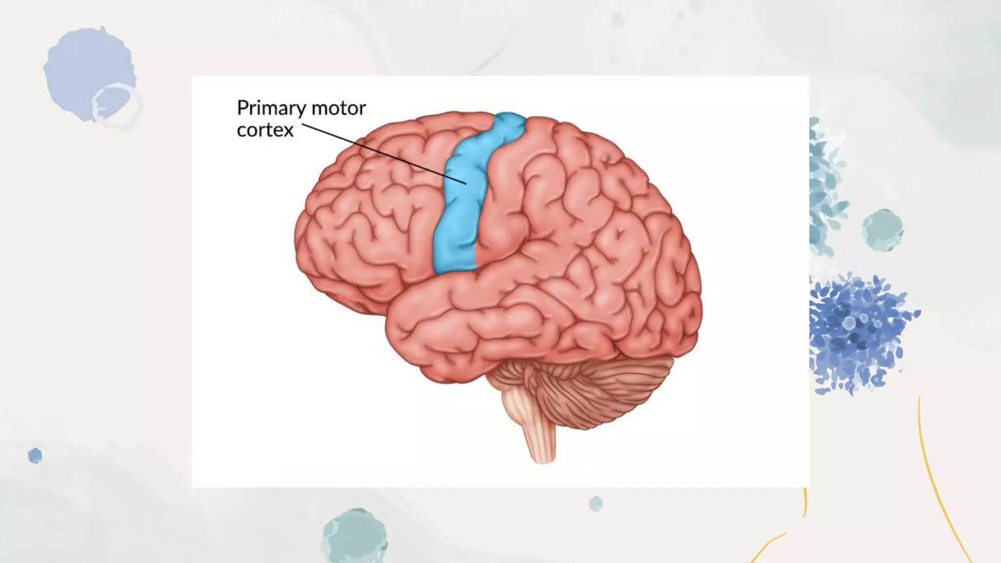 Dysarthria.pptx