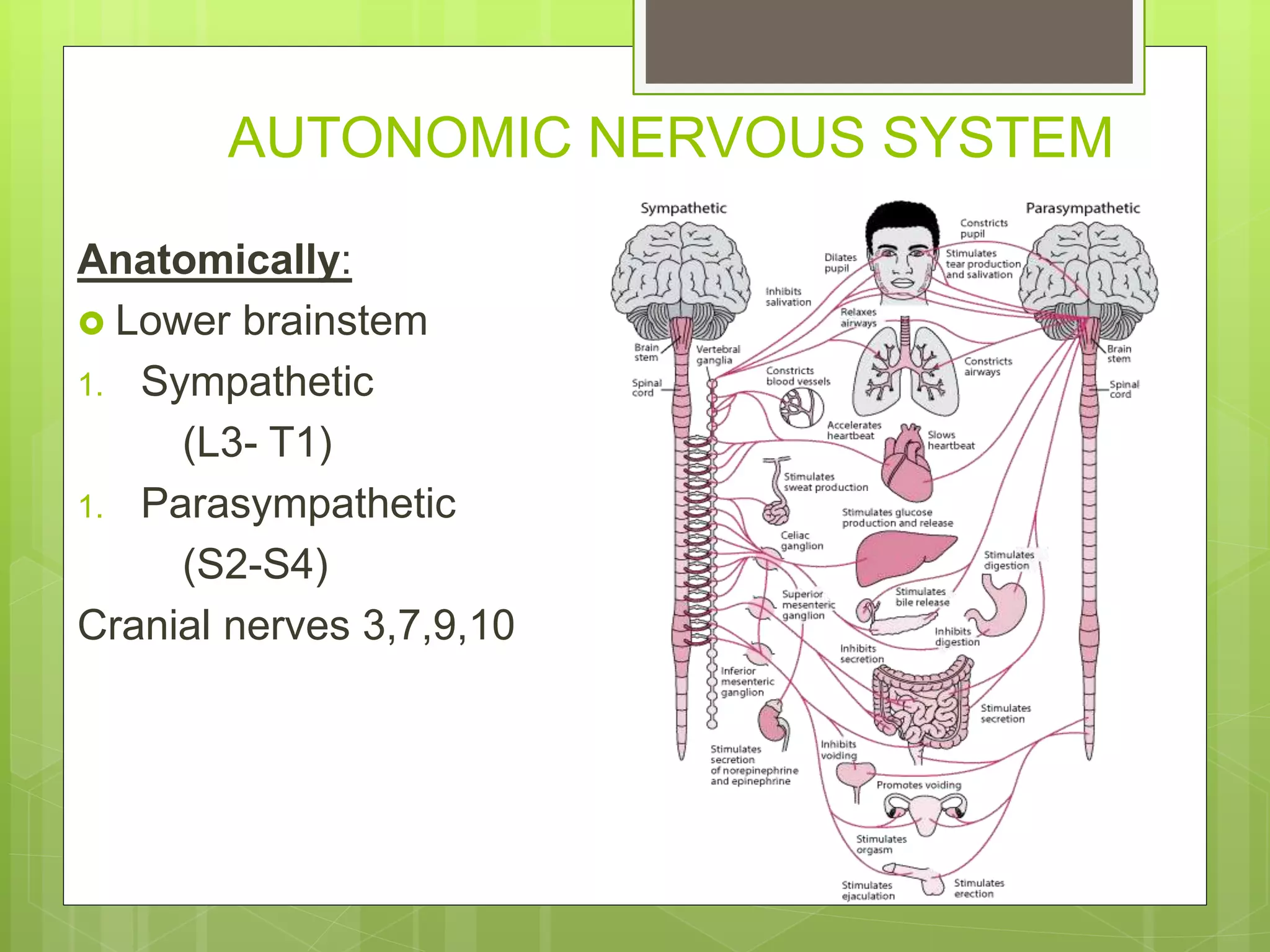 Dysautonomia (Autonomic nervous system) | PPTX