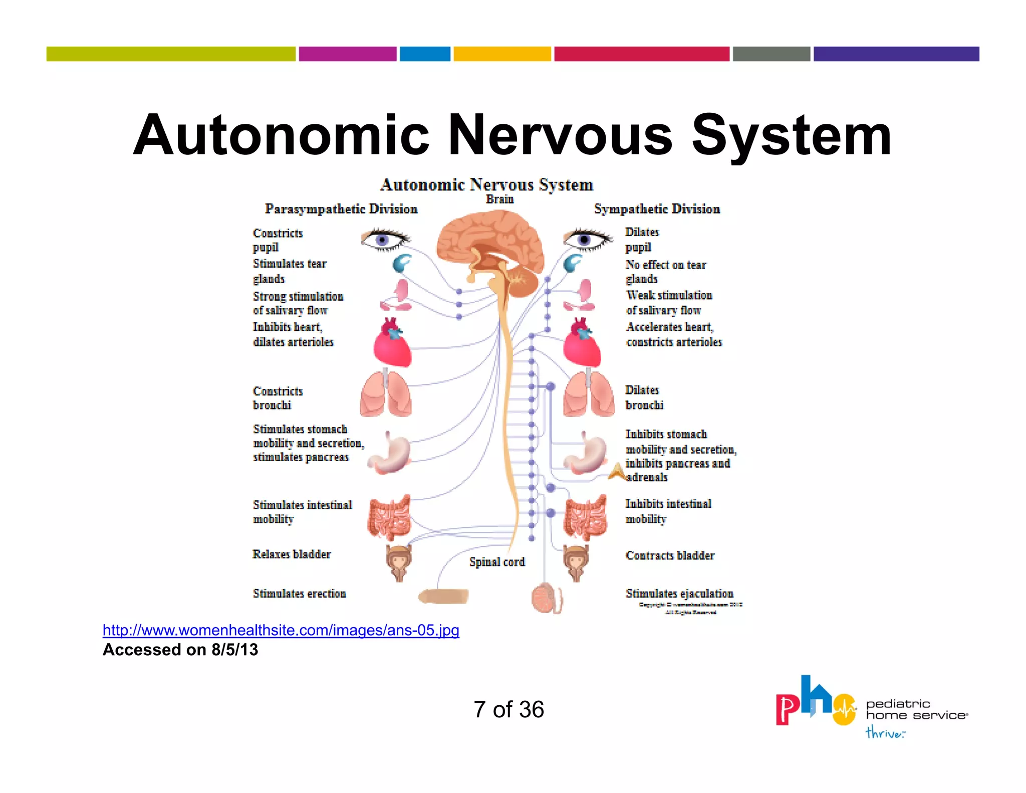 Dysautonomia and pots | PDF