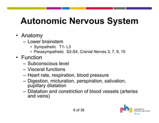 Dysautonomia and pots | PDF