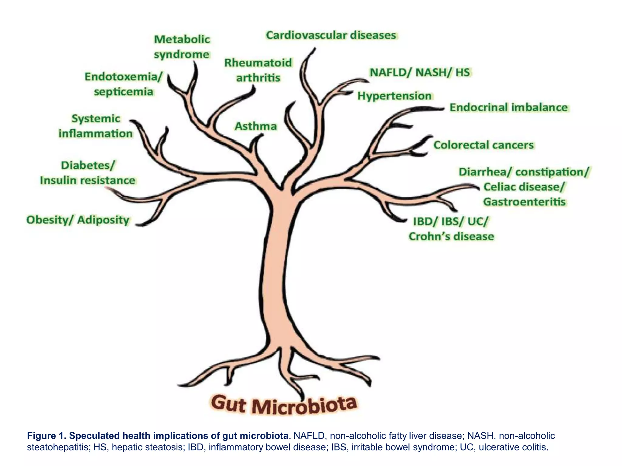 Dysbiosis | PPTX