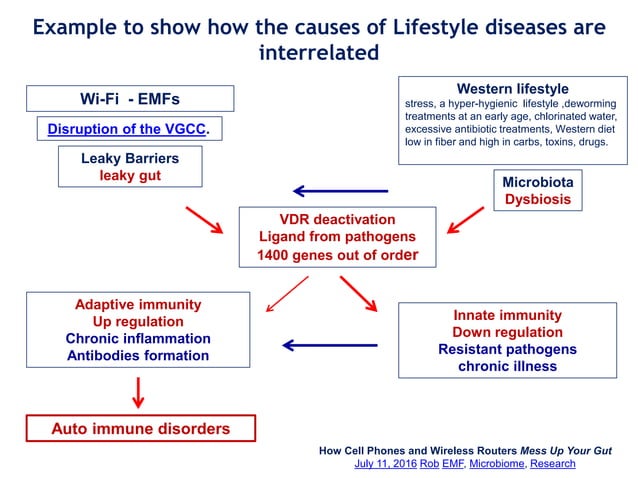 Dysbiosis | PPTX