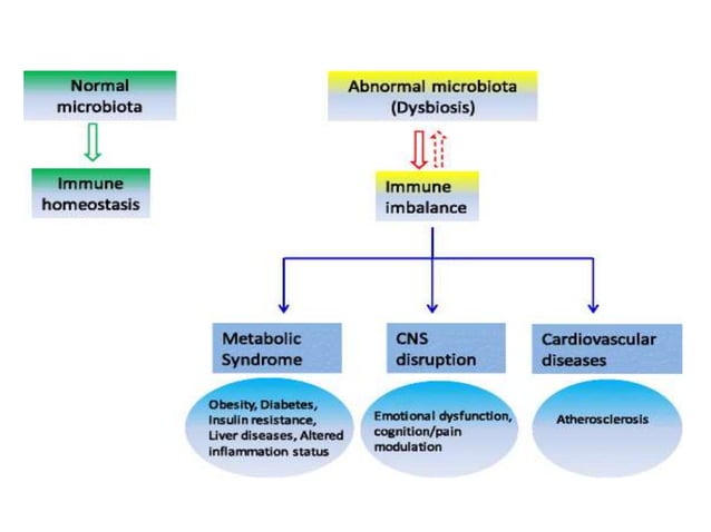 Dysbiosis | PPTX