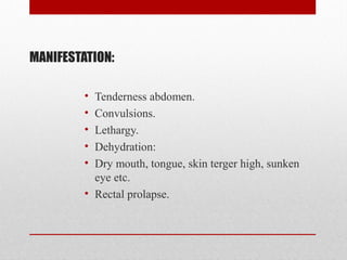 Dysentery | PPT