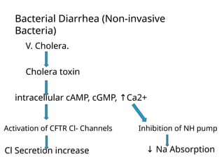 Dysentry- Diarrhea PPT.pptxbvffd gfff hgff gg | PPT