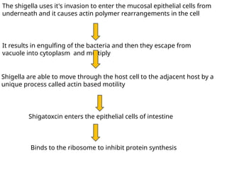 Dysentry- Diarrhea PPT.pptxbvffd gfff hgff gg | PPT