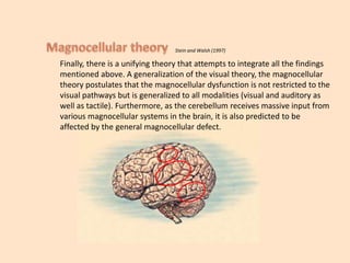 Neurological Basis of Dyslexia | PPT