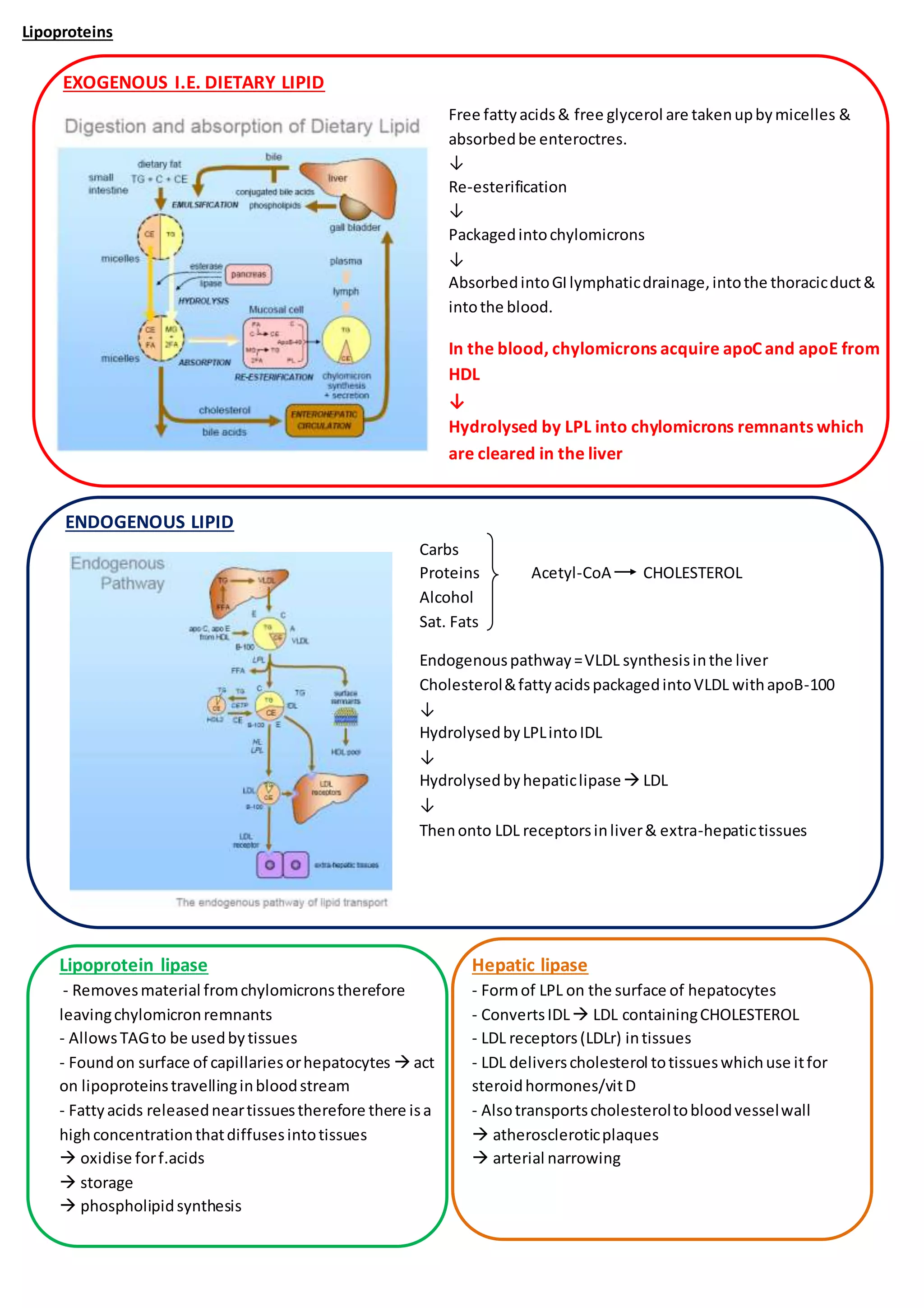 Dyslipidaemia | DOCX