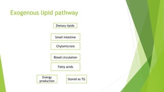 Dyslipidemia-1.pptx