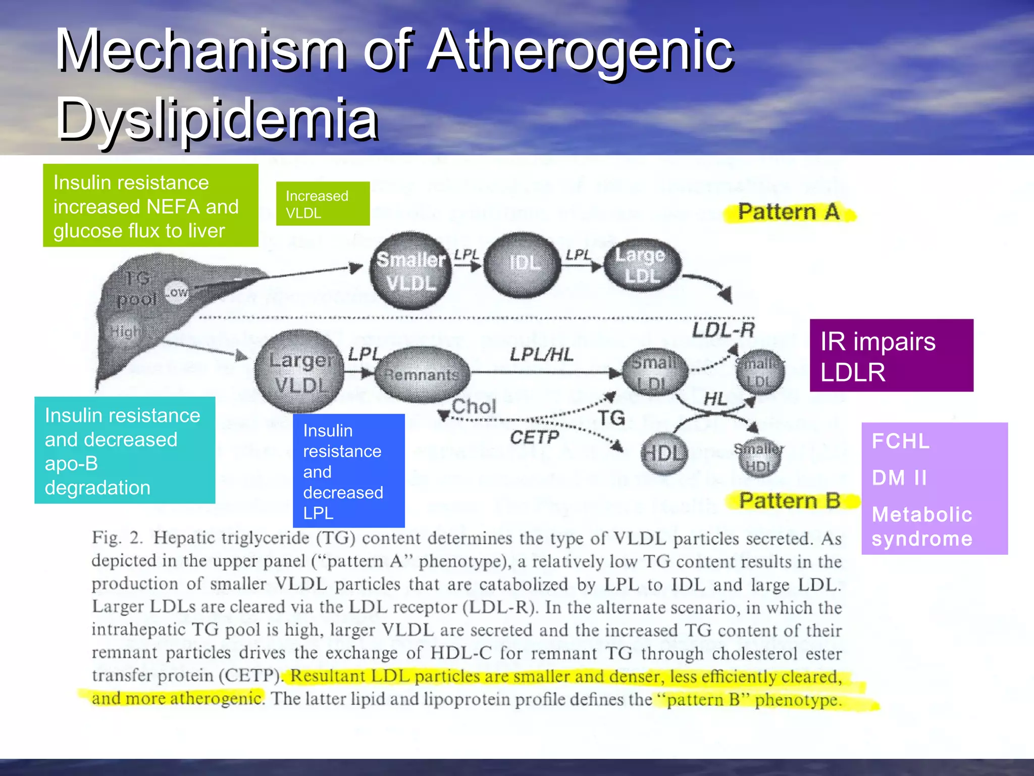 Dyslipidemia | PPT | Endocrine and Metabolic Diseases | Diseases and ...