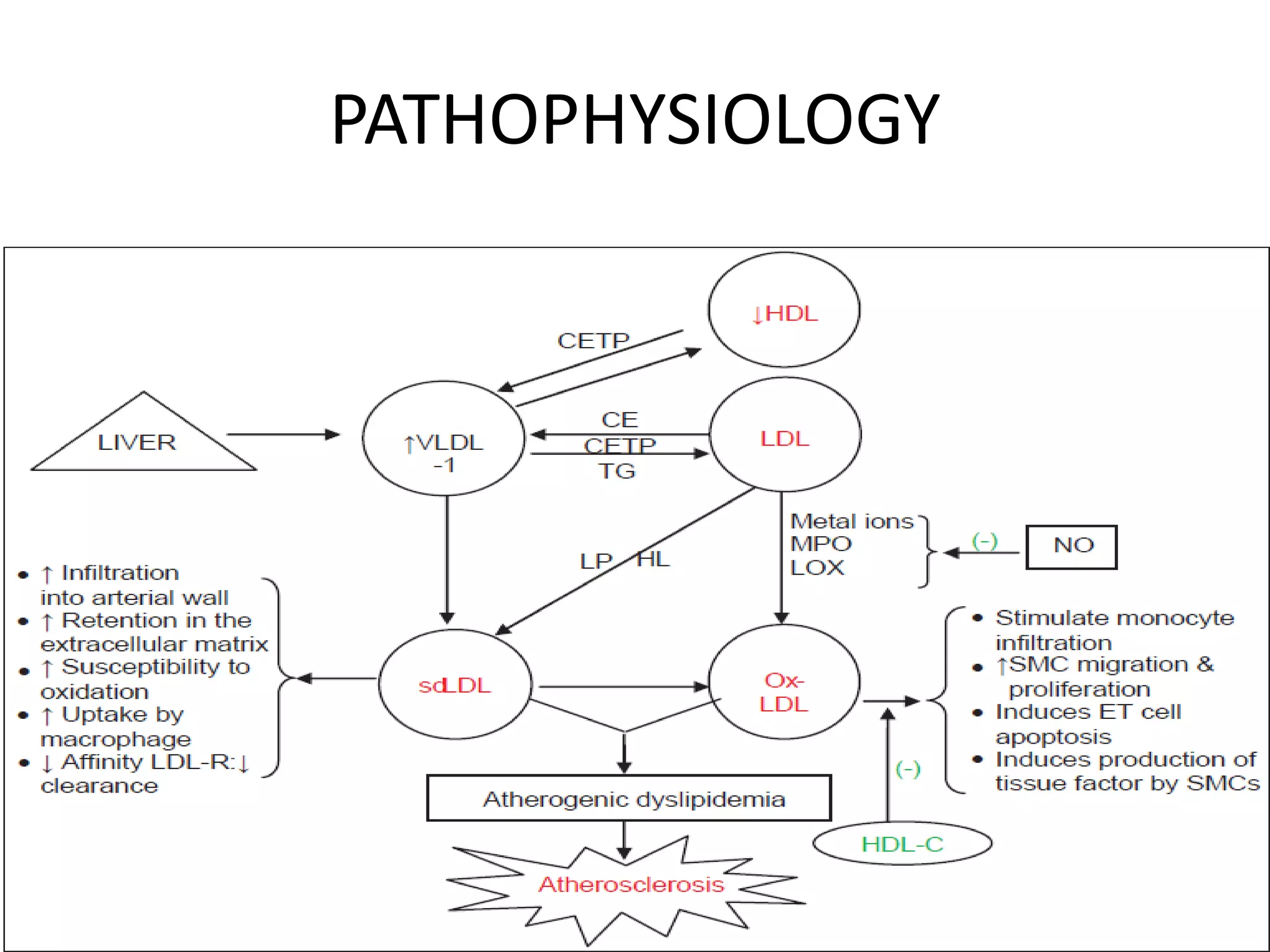 Dyslipidemia.pptx