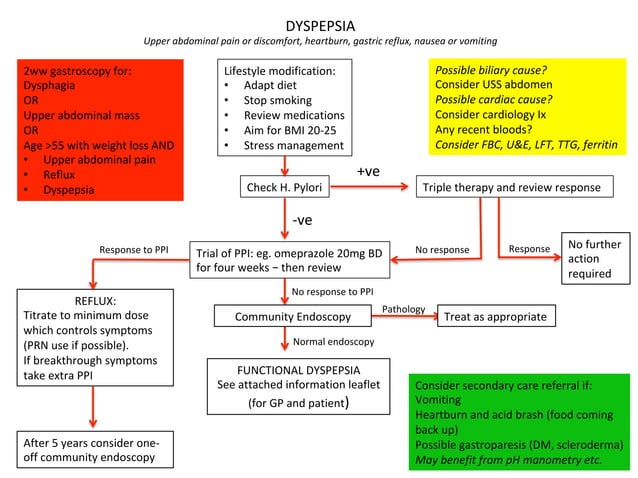 Dyspepsia pathway 2020 pdf by an nhs hospital | PDF