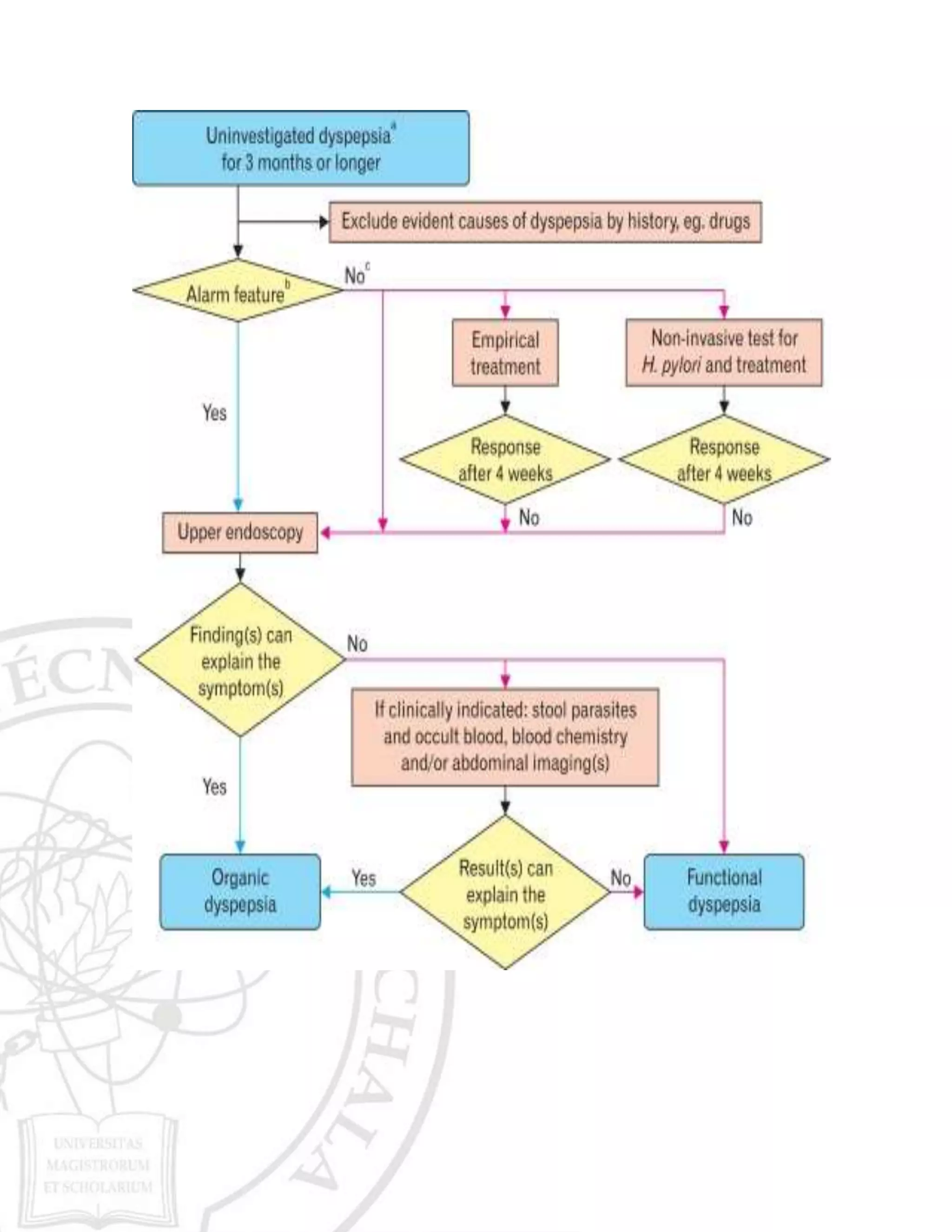 Dyspepsia algortihm | DOCX