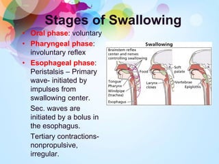 Dysphagia and Carcinoma Oesophagus | PPTX