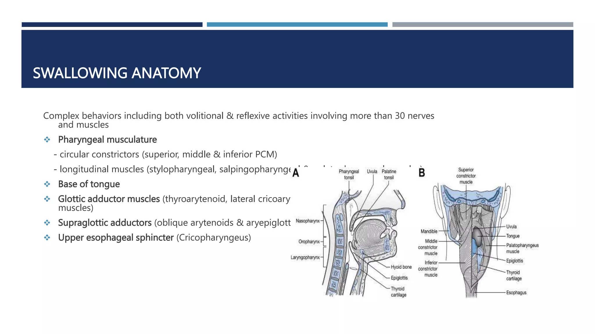 DYSPHAGIA.pptx