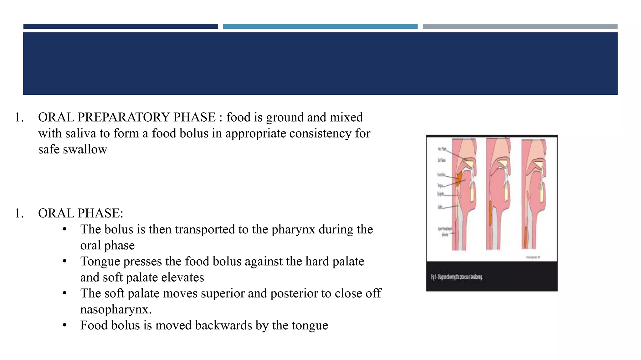DYSPHAGIA.pptx