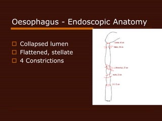 APPROACH TO A PATIENT OF DYSPHAGIA -PPTX | PPT