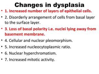 Dysplasia by dr manzoor n | PPT