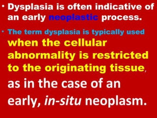 Dysplasia by dr manzoor n | PPT