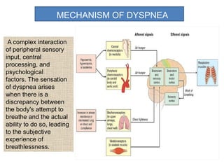 A SHORT APPROACH TO BREATHLESSNESS / DYSPNEA.pptx