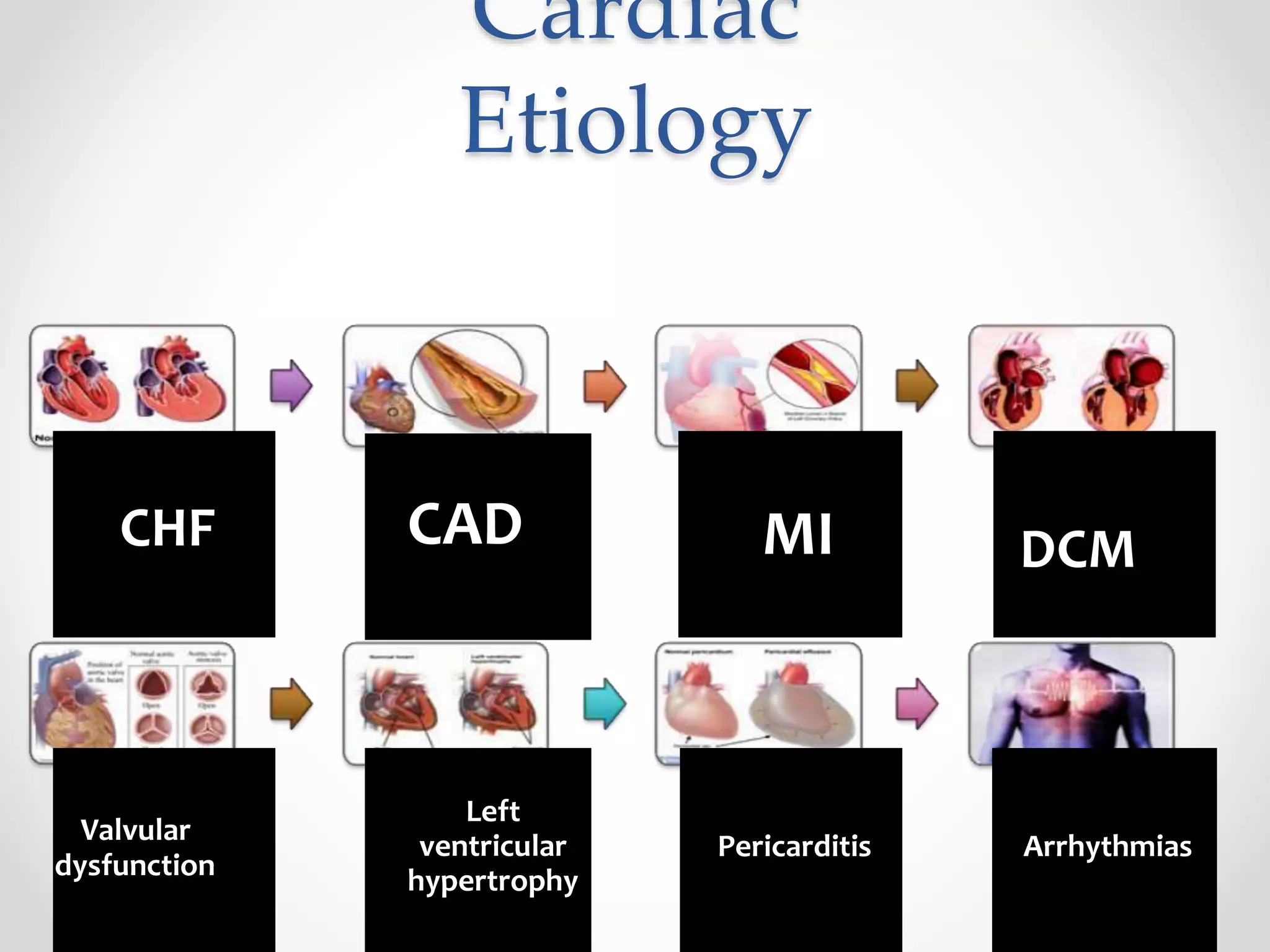 Dyspne, cough & Resp infection by Abhi.pptx