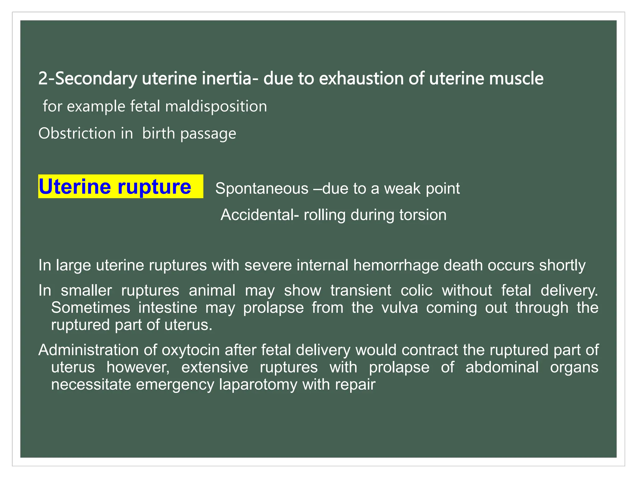 dystocia in cattle sheep and goat.pptx
