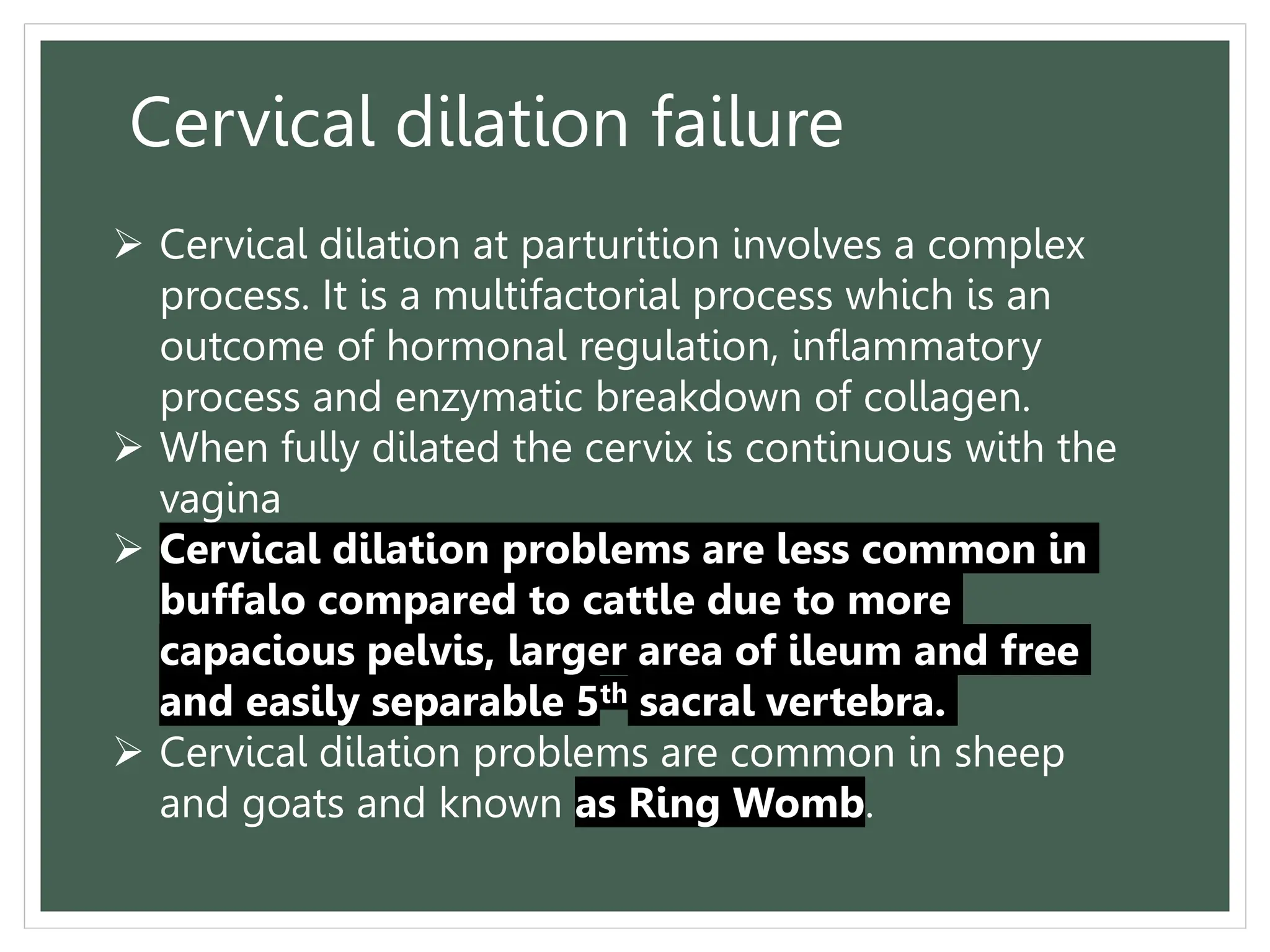 dystocia in cattle sheep and goat.pptx