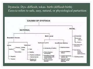 dystocia in cattle sheep and goat.pptx