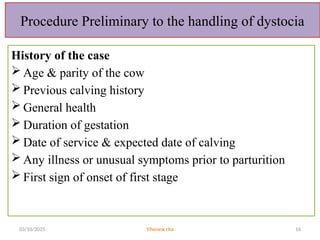 DYSTOCIA managements in cow. pp including the etiology ,predisposing ...