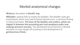 Dystocia mechanic (Obstructed Dystocia).pdf | Free Download