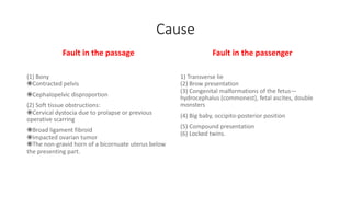 Dystocia mechanic (Obstructed Dystocia).pdf