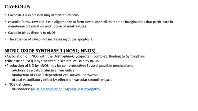 Dystrophin-glycoprotein-complex PPT.pptx