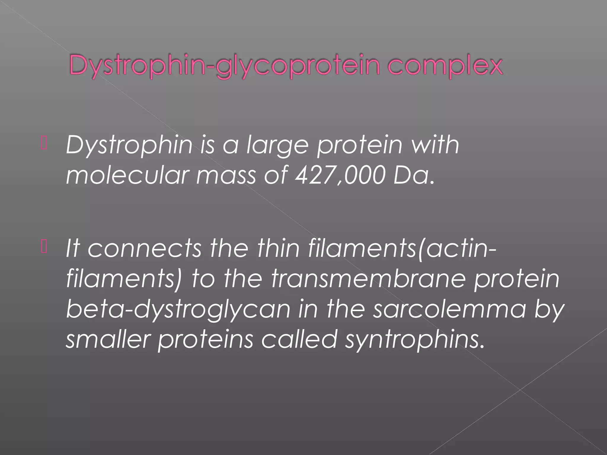 Dystrophin glycoprotein complex | PPT