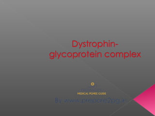 Dystrophin glycoprotein complex | PPT
