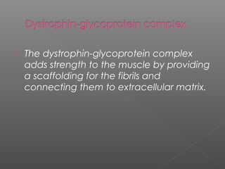 Dystrophin glycoprotein complex | PPT