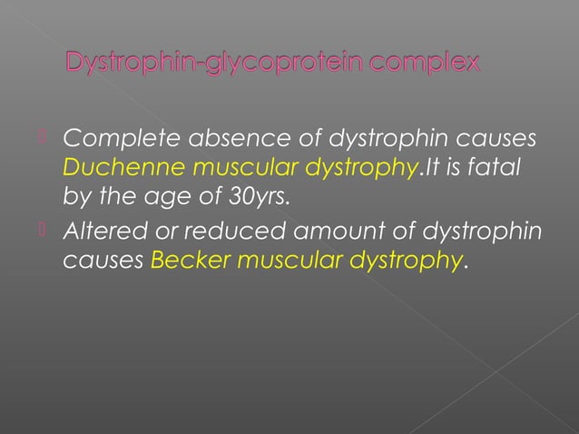 Dystrophin glycoprotein complex | PPT