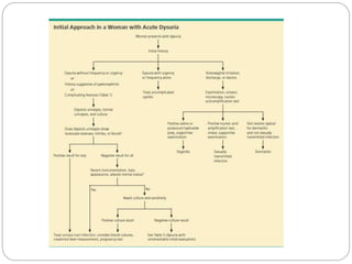 Dysurea | PPTX