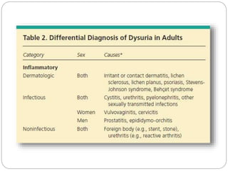 Dysurea | PPTX
