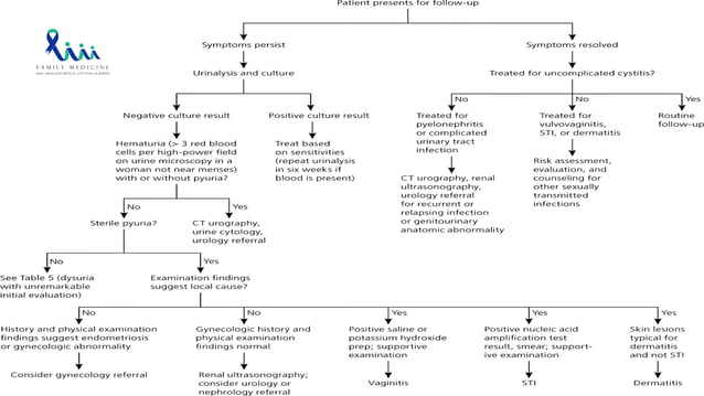 Dysuria Approach.pdf