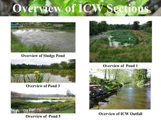 Nutrient Leaching and Groundwater Quality Assessment near Integrated ...
