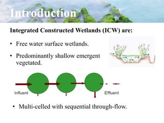 Nutrient Leaching and Groundwater Quality Assessment near Integrated ...