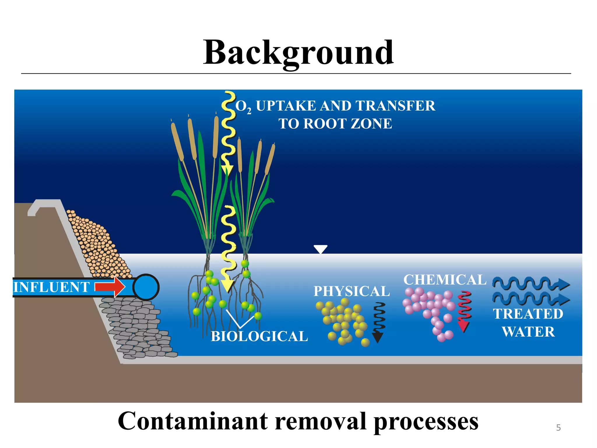 Nutrient Retention in an Integrated Constructed Wetland used to Treat ...