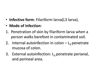Strongyloides_stercoralis.ppt