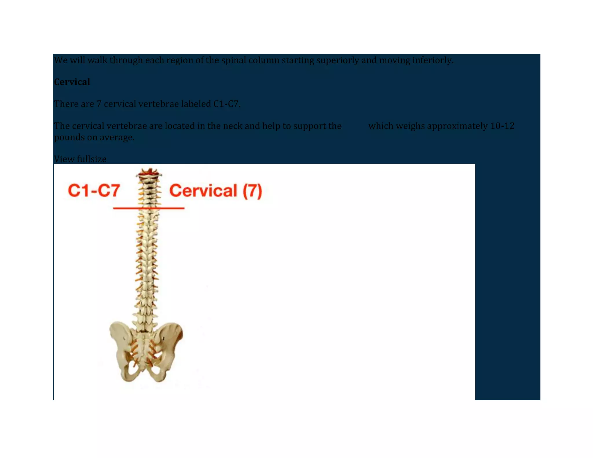 Vertebral_Anatomy.pdf
