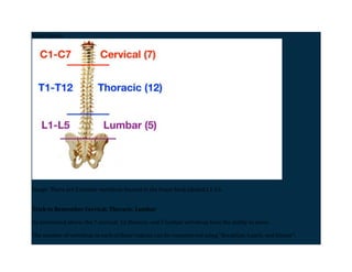 Vertebral_Anatomy.pdf