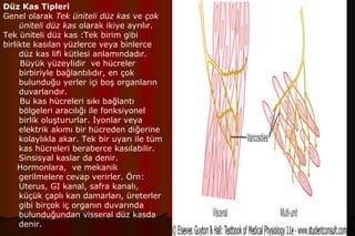 Düz kas 7.hafta | PPT